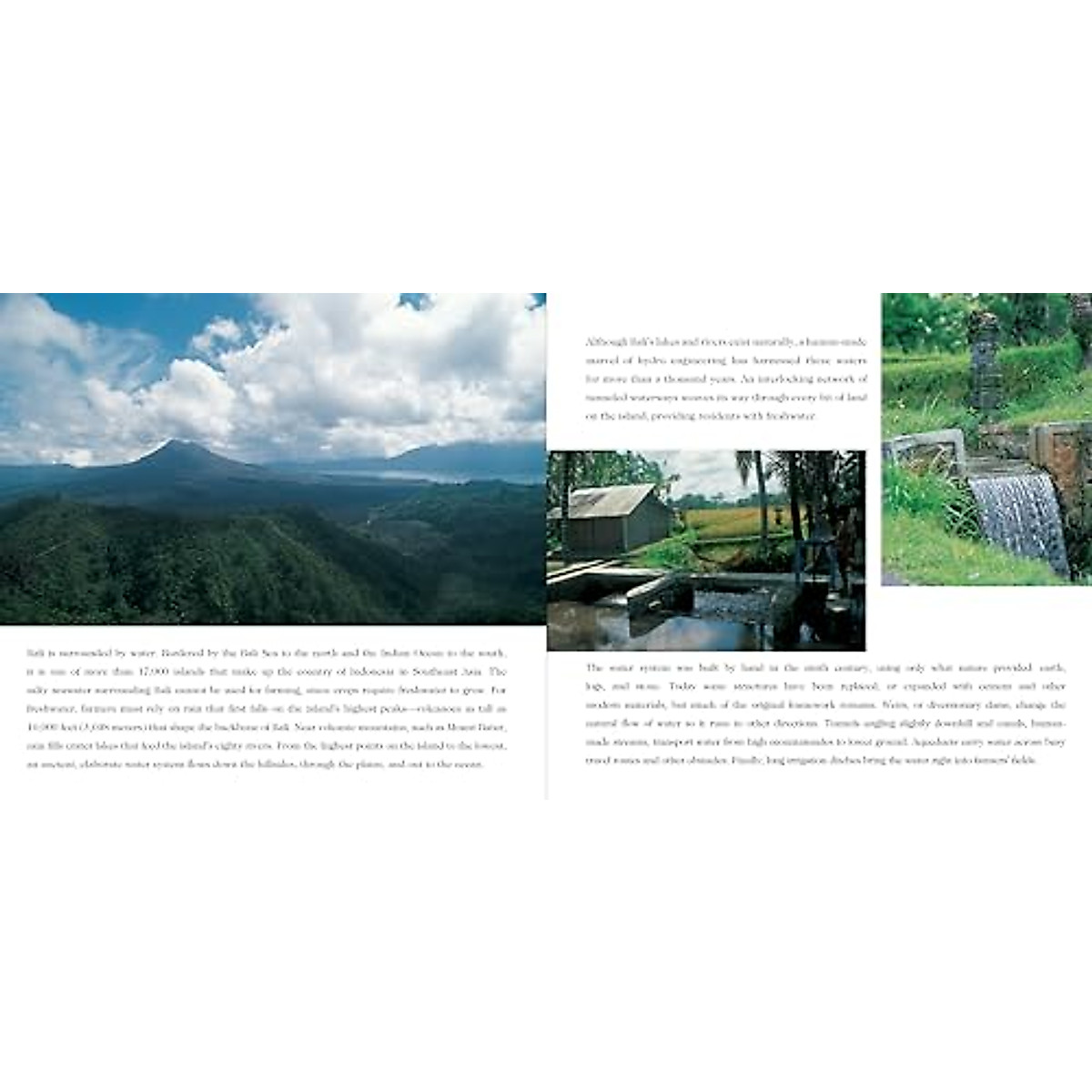 Cycle of Rice, Cycle of Life: A Story of Sustainable Farming