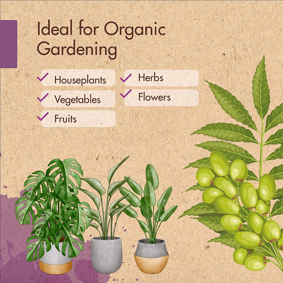 Organic Neem Oil for Plants, Cold Pressed Neem Oil Extract from Neem Plant, Water Soluble Pre-Emulsified Neem Oil Spray for Indoor Plants & Outdoor Plants, Neem Spray for Shiny Plant Leaves, 8 fl. oz.