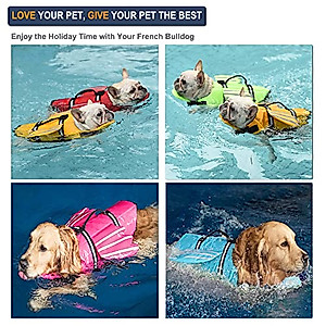 Petglad Dog Life Jacket, Wings Design Pet Life Vest, Reflective Dog Flotation Swim Vest with Chin Float for Pool Beach Boating Surfing Swimming, for Puppy Small Medium Large Size Dogs (Green, S)