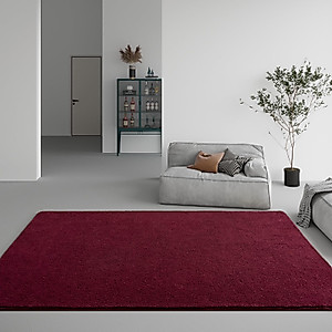 DweIke Large Vine Red Modern Area Rugs for Bedroom Living Room, 5x7 ft Thickened Memory-Foam Indoor Carpets, Minimalist Style Carpet Suitable for Boys Girls and Adults with Fluffy Touch, Washable