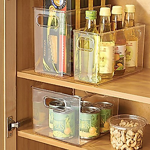 iDesign Extra Large, InterDesign Refrigerator, Freezer and Pantry Storage Container – Food Organizer Bin for Kitchen, Clear