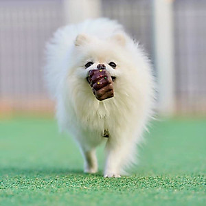 GOSUNY TOYS Latex Dog Toys (2-Pack), Cute Donut Dog Toy, Soft Latex Rubber Dog Toys, Squeaky Dog Toys for Small Dogs