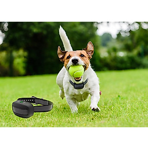 WIEZ GPS Wireless Dog Fence, Electric Dog Fence with GPS, Range 100-3300 ft, Adjustable Warning Strength, Rechargeable, Pet Containment System, Harmless and Suitable for All Dogs