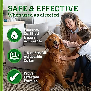 Natural Care Repellent Flea and Tick Collar for Dogs and Puppies - 4 Month Flea & Tick Treatment for Dogs - Repels Fleas & Ticks with Certified Natural Oils