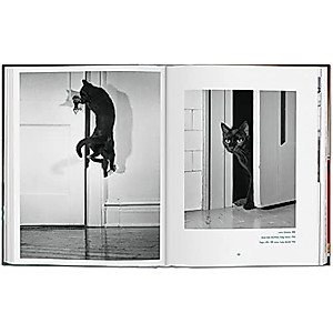 Cats: Photographs 1942 - 2018