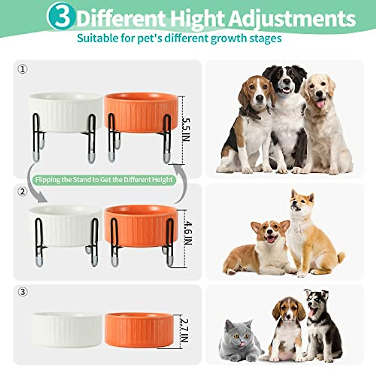 OMAYKEY 32 OZ Ceramic Elevated Dog Bowls with Metal Stand, Raised Cat Bowl Set for Food and Water, Pet Feeder Bowl Dish for Cats & Dogs, Non-Slip, Dishwasher Safe, White & Orange
