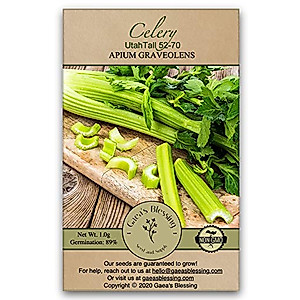 Gaea's Blessing Seeds - Celery Seeds - Tall Utah 52-70 Heirloom Non-GMO with Easy to Follow Instructions 89% Germination Rate Net Wt. 1.25g