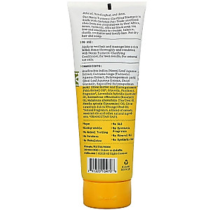 Alaffia Neem Turmeric Balancing Shampoo, Gently Cleans and Helps Fortify Hair while Moisturizing the Scalp with Shea Butter, Tea Tree, and Rosemary, Fair Trade, Balancing Neem, Natural Mint 8 Fl Oz