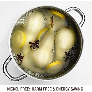 HOMICHEF Stock Pot 6 Quart Nickel Free Stainless Steel - 6 Quart Pot With Lid and Handle - 6Qt Saucepan With Lid - Soup Pot Small Cooking Pot 6 Quart - 6 Qt Pot With Glass Lid - Induction Pot With Lid