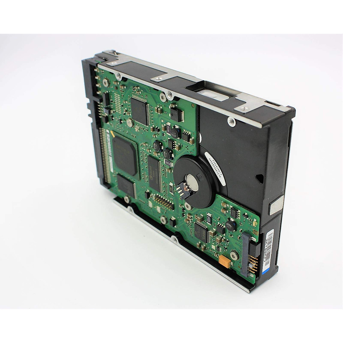 Seagate-IMSourcing Cheetah 10K.7 ST373207LW 73 GB 3.5" Internal Hard Drive - SCSI - 10000 rpm - 8 MB Buffer