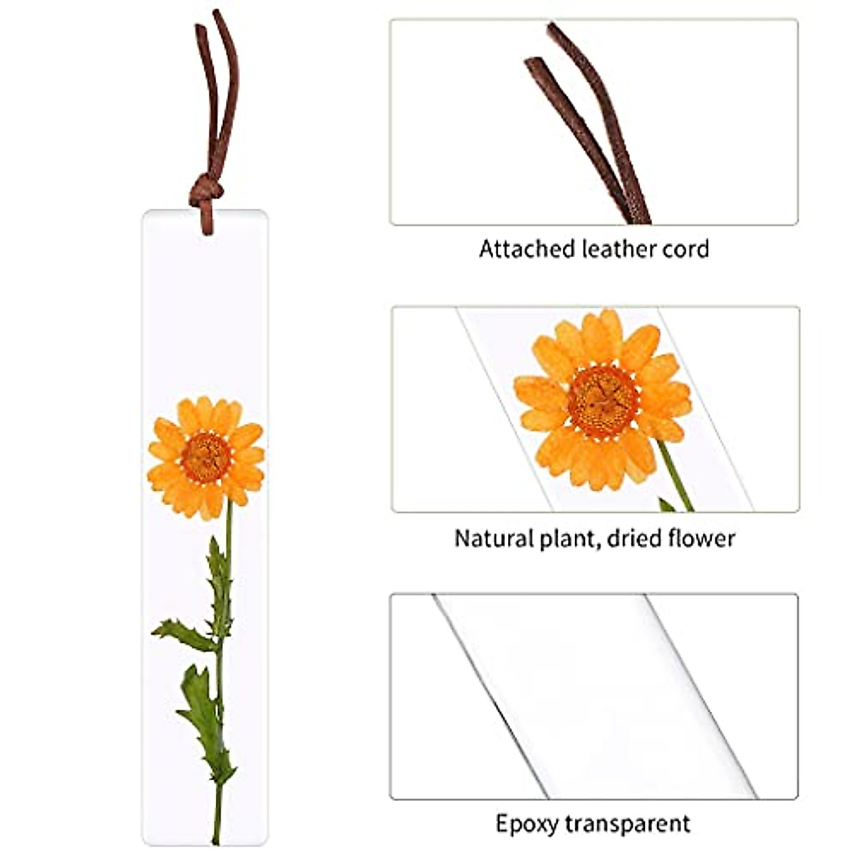 TJLSS Dried Flower Bookmark Leaf Vein Resin Flower Specimen Bookmark Natural Flower Reading Mark Book Markers School Supplies (Color : D)
