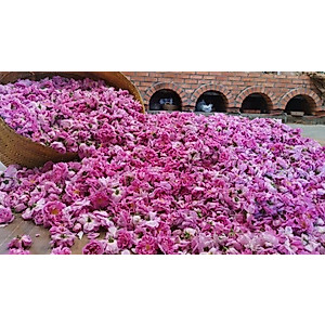 OFLORALE Lebanese Rose Water, 8.45 fl oz, 100% Natural, No Sugar, for Cooking, Baking and Desserts