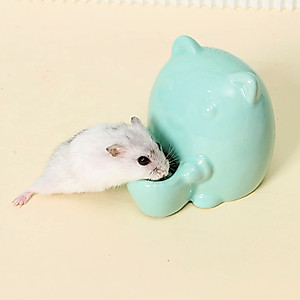 Cartoon Sculpted Ceramic Hamster House Food Feeding Bowl Water Bowl to Prevent Spilled Food and Chewing Tray Gerbils Chinchilla Ferret Hedgehog Small Animals (Cyan)