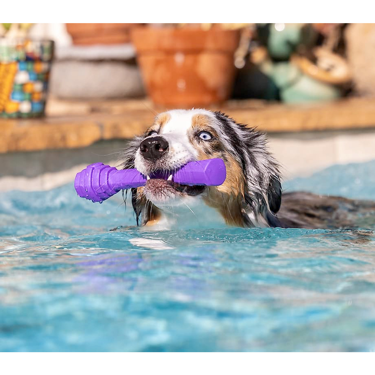 PROJECT HIVE ·PET COMPANY· - Calming Lavender Scented - Hive Dog Fetch Stick for Large Breeds - Dog Stick Toy - Floats in Water - Treat Dispenser Toy - Durable and Tough - Made in The USA