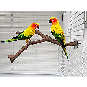 OFLAO Parrot Perches, Wood Bird Stand Perch, Natural Wild Grape Stick Bird Stand Pole, Y Shape Stand Perch, Standing Climbing Branch Toy Cage Accessories for Parrots, Parakeet, Budgies, Lovebirds