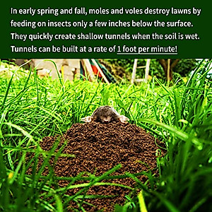 Nature's MACE Mole & Vole Repellent 22lb Granular/Covers 17,600 Sq. Ft. / Keep Moles & Voles Out of Your Lawn and Garden/Guaranteed to Repel Moles/Safe to use Around Home, Children, & Plants