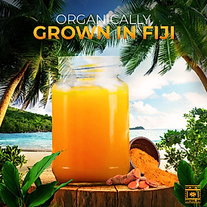 Fresh Organic Turmeric Root - 1 Lb Whole Raw Root by Fijian Spice Company