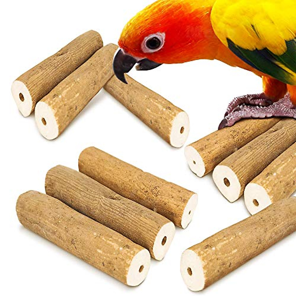 Meric Sola Sticks with Skin, Round Wood Ideal for Chewing, Foraging and Foot Toy for Parrots, Grooms Beak & Nails, Keeps Birds in Good Behavior & Physically Fit, 10 Pieces per Pack