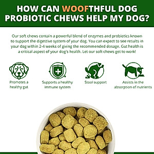Probiotics for Dogs - Digestive Health, Gut Flora, Bowel Support, Immune System Support - Soft Chews Supplement for Dogs 120 ct, Made in USA