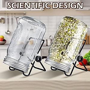 meekoo 4 Sprouting Jar Kit Wide Mouth Mason Jars with Stainless Steel Screen Sprout Lids and Stand Microgreens Growing Kit Seed Germination Kit Seed Sprouter Set for Growing Broccoli Alfalfa Mung Bean