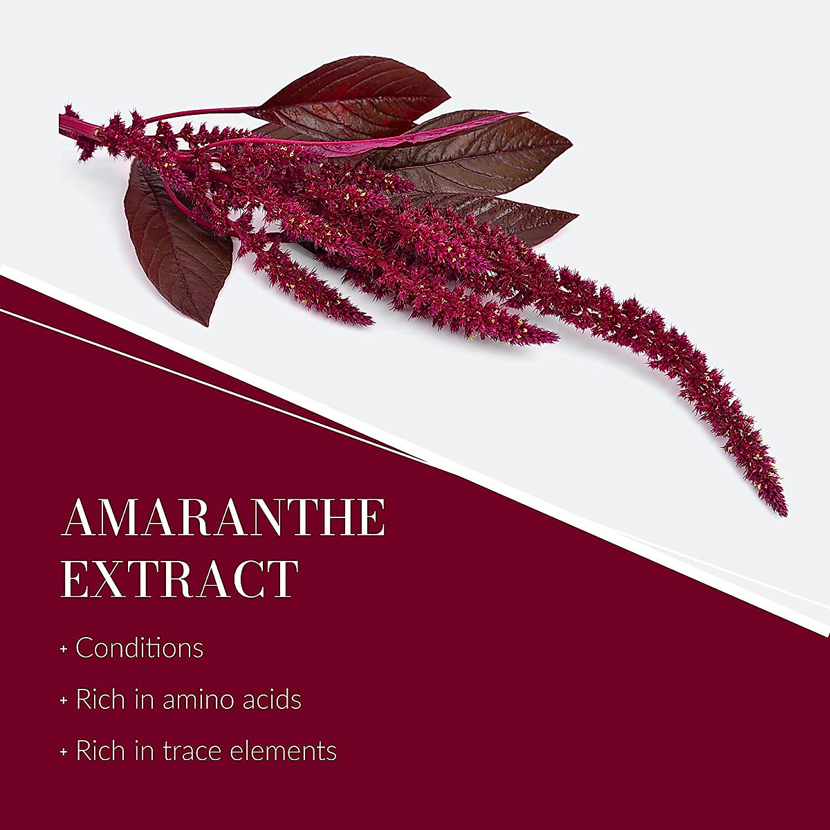 Leonor Greyl Paris - Shampooing Reviviscence - Specific Shampoo for Dehydrated, Damaged and Brittle Hair - Moisturizing and Hydrating Shampoo (6.7 Oz)