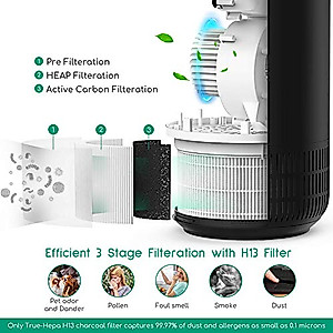Afloia Air Purifiers for Home Large Room Up to 880 Ft² Fillo Black, Efficient Filter Air Cleaner for Home with Original Replacement Filter
