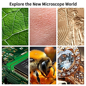 USCAMEL 40X-1000X Magnification LED Binocular Compound Microscope,Professional Compound Microscope with Wide-Field 10X 25X Eyepieces,Microscope Slides,Phone Adapters,Cleaning Paper