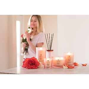 Chesapeake Bay Candle PT40896 Scented Candle, Stillness + Purity (Rose Water), Coffee Table,Orange, Home Décor