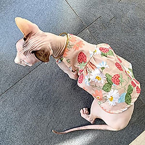 Sphynx Cat Summer Clothes Cute Soft Tank Top Fruit Pattern Cotton Vest Kitten Shirts for Sphynx, Cornish Rex, Devon Rex, Peterbald (L（7.3-9.7lbs）, Big Strawberry)