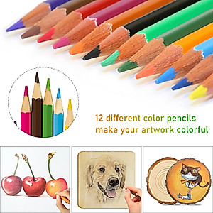 116pcs Wood Burning Kit, Professional Wood Burning Tool with Soldering, DIY Creative Tools Adjustable Temperature 220~480℃ Wood Burner Soldering Pen for Embossing/Carving/Soldering & Pyrography