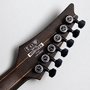 Ibanez RG631ALF RG Axion Label Electric Guitar, Blue Chameleon