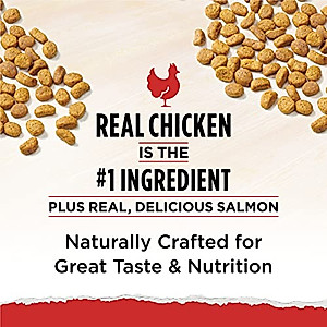 Purina Cat Chow Naturals With Added Vitamins, Minerals and Nutrients Dry Cat Food, Naturals Original - 13 lb. Bag