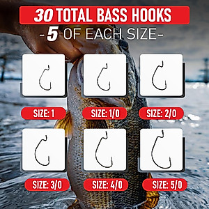 Bass Fishing Hooks Freshwater – Bass Hooks for Plastic Worms – Texas Rigs for Bass Fishing Gear – Worm Hooks for Bass Fishing – Bass Fishing Tackle – Texas Rig Hooks – EWG Hooks