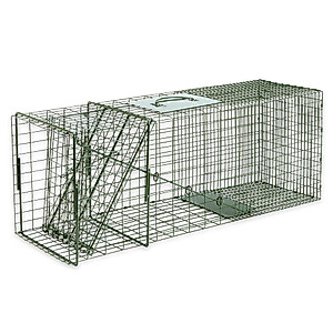 Duke Traps Raccoon Cage Trap