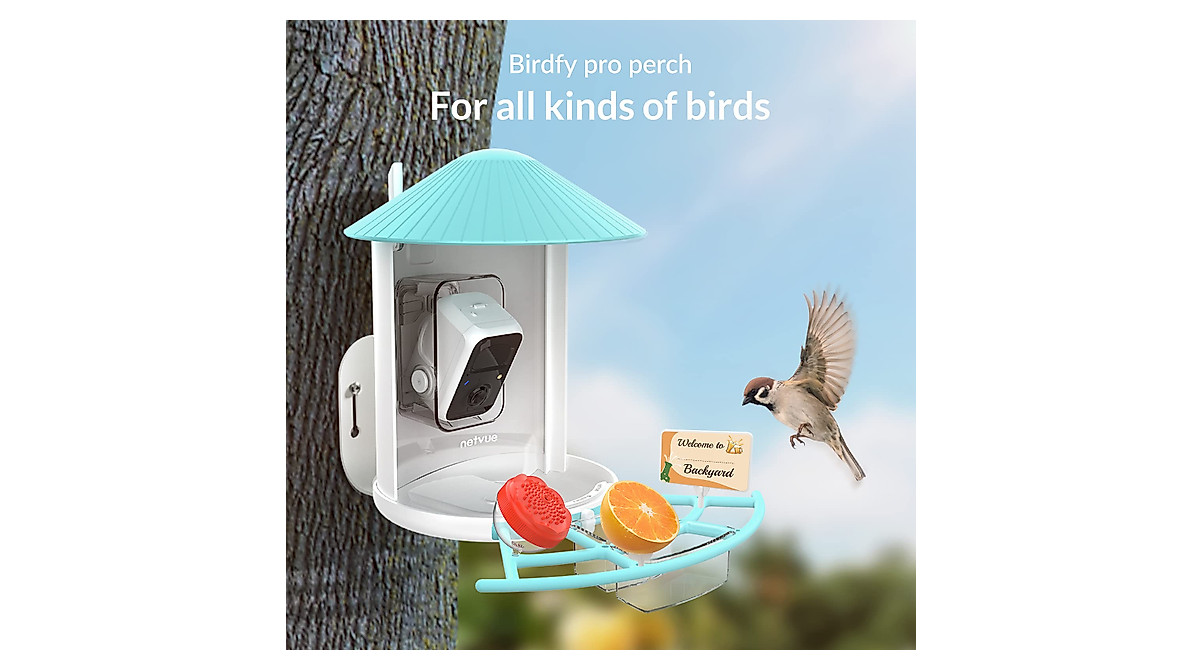 NETVUE Birdfy Pro Perch - Wider Extension Perch to DIY Add-ons ...