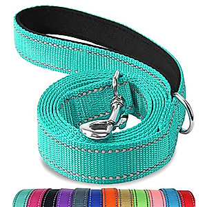Joytale Double-Sided Reflective Dog Leash, 6 FT/5 FT/4 FT, Padded Handle Nylon Dogs Leashes for Medium & Large Dogs Walking, Teal, 6FT