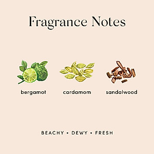 Isle Rollie Perfume By Skylar - Travel Size - Layerable Fragrance - Paraben Free, Vegan, Cruelty Free, Phthalate Free - Beachy and Fresh Scent - Notes Of Bergamot, Sandalwood (10mL / 0.33 fl oz)