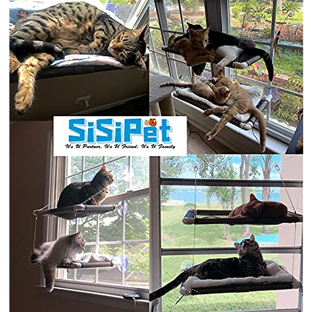 Cat Window Perches Deluxe Double Layers, Free Soft Lamb's Fleece Blanket and Toys, Up to 55 lbs, Space-Saving Cat Bed, Pet Kitty Resting Seat Safety Cat Hammock for Large Cats, Full 360° Sunbathing