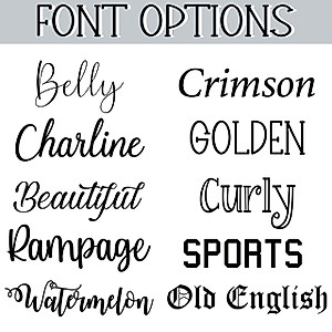 Birsppy 20oz Stainless Steel Skinny Tumbler- Laser Engraved- Personalized Tumbler- Straw and Lid Included- Vacuum Insulated- Teacher Gift- Mother's Day- Bride Gift- Handheld Tumbler- Girls Trip