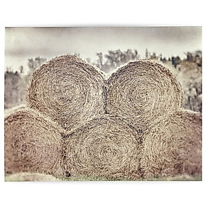 Lisa Russo Fine Art - Farmhouse Wall Decor Hay Bales Photo Print - Not Framed - Neutral Beige, Tan (8x10 Print Only)