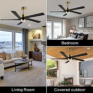WINGBO 64 Inch DC Ceiling Fan with Lights and Remote Control, 5 Reversible Carved Wood Blades, 6-Speed Noiseless DC Motor, Modern Ceiling Fan in Brass Finish with Balck Blades, ETL Listed