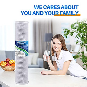PUREPLUS 5 Micron 20" x 4.5" Whole House Coconut Shell Activated Carbon Water Filter Replacement Cartridge, Compatible with EPM-20, CB-20, 155783-43, FC25B, 1 Pack