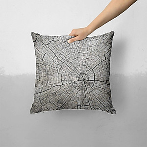 iiRov Aged Cracked Tree Stump Core - Custom Decorative Home Decor Indoor or Outdoor Throw Pillow Cover Plus Cushion Set for Sofa, Bed or Couch (Pillow CASE Cover Plus Cushion)