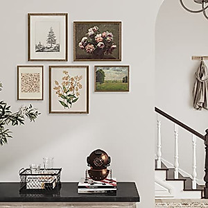 Vintage Botanical Wall Art Decor - Farmhouse Wall Decor for Bedroom Living Room Bathroom - Flower Poster Floral Pictures Plant Wall Prints for Kitchen Decor - Rustic French Country Room Decor Set of 5