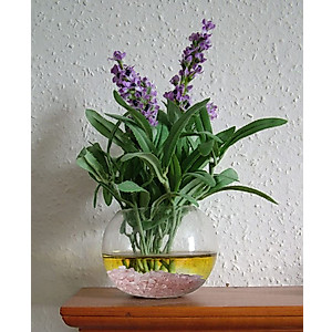 LAIDANLA Rose Quartz Crushed Stone Crystal Chips Bulk 100g and 5Pcs Healing Crystals Palm Stone Set Reiki Crystals Vase Filler Aquarium Gravel for Meditation Stress Relief