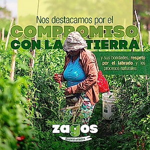 Zagos - Dehydrated sweet onion 100% natural product, dried onions in a 20 grams container (1 PACK)