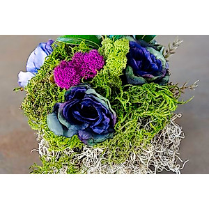 SuperMoss (23311) Elegant Decorative Mixed moss, MultiColor, 120 cu.in., white