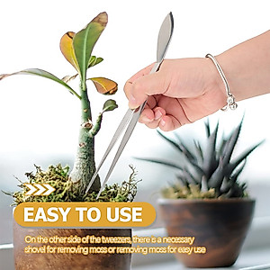 GANAZONO Stainless Steel Spatula 2pcs Bonsai Tweezers Curved Serrated Tips with Spatula Stainless Steel Japanese Professional Bonsai Tools Gardening Tool Rake Tweezers for Bonsai Planter Multitools