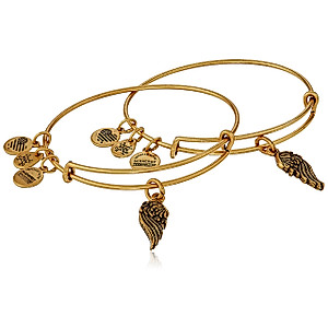Alex and Ani "Path of Symbols" Wings Set of 2 Gold Expandable Wire Bangle Charm Bracelet
