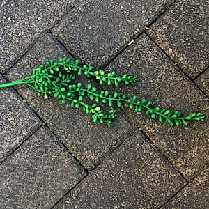 Okngr Artificial Succulents Hanging Plants, Hanging String of Pearls Plant Large Fake String of Pearls for Wall Home Garden Decor- S